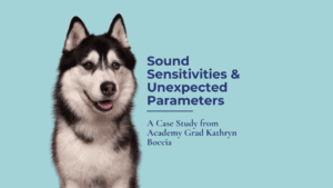Sound Sensitivity in Dogs: Understanding the Issue - The Academy for ...